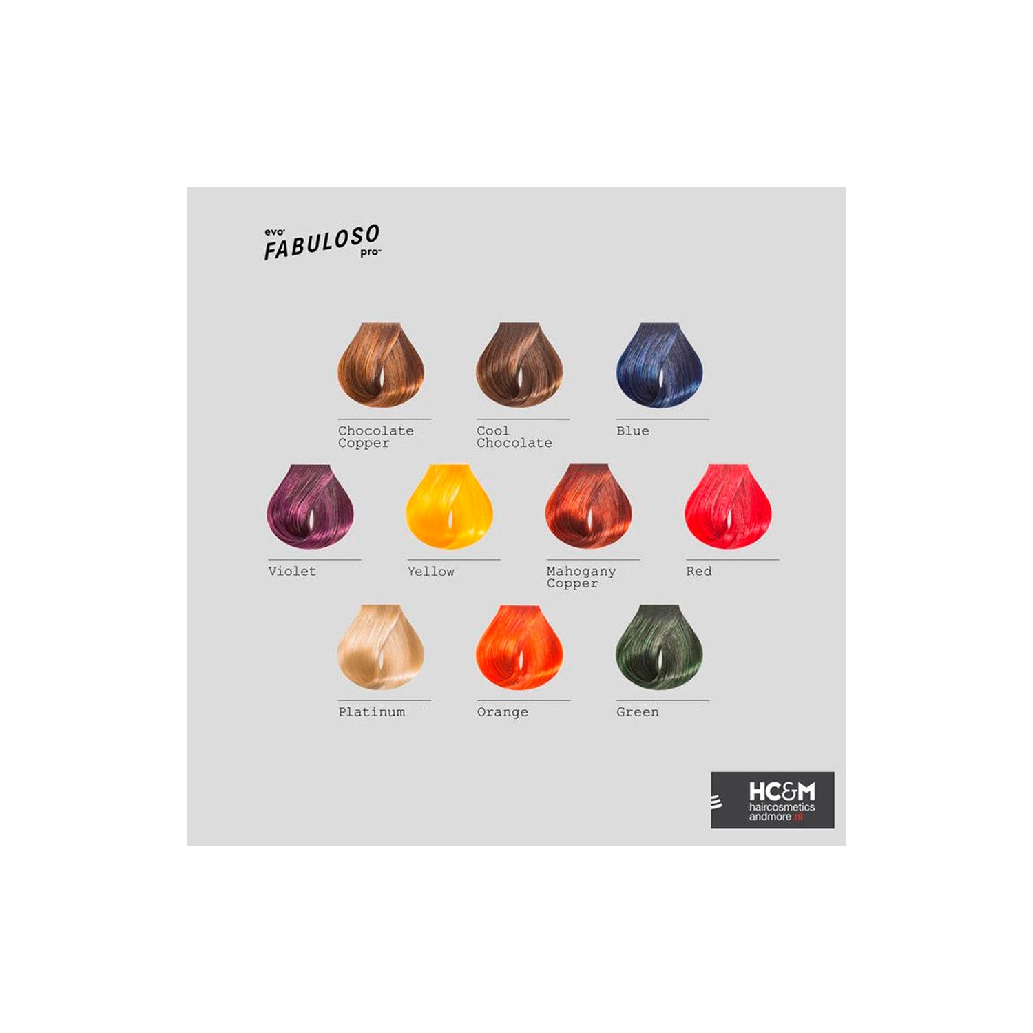 EVO - Fab Pro Wall Chart