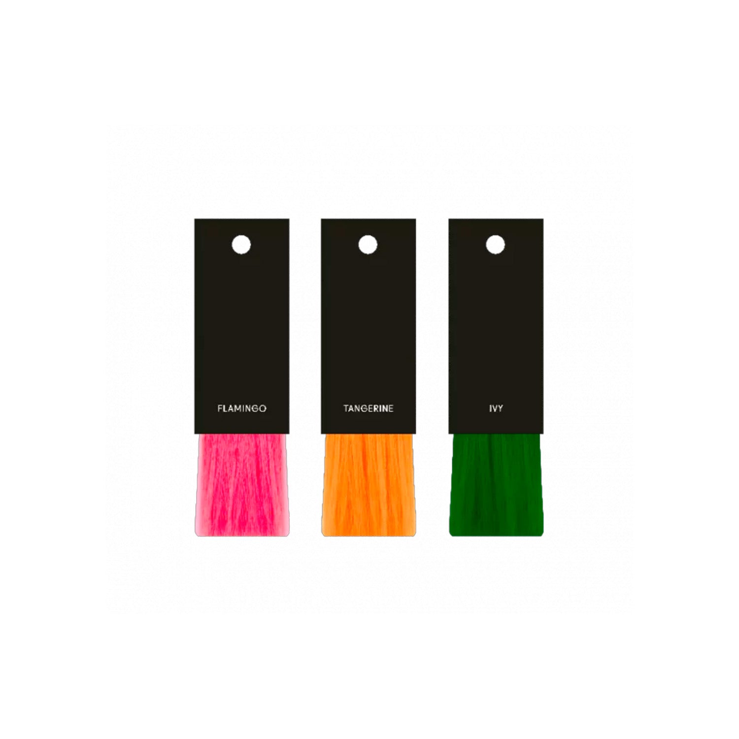 Evo - Staino Swatch Fan Incl. New Shades